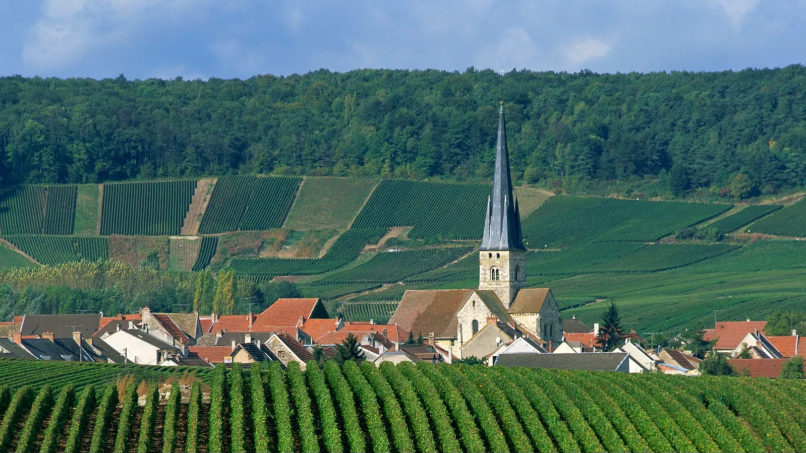French Wine Tour 2026 – SOM Wine